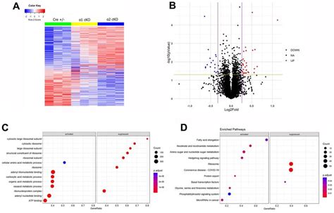 Mass Spectrometry Ms Based Proteomics Analysis Reveals Distinct Download Scientific Diagram