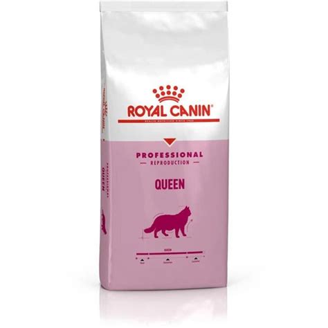 خرید و قیمت غذای خشک گربه مادر کویین رویال کنین Royal Canin