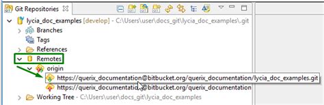 Fetch From A Remote Repository