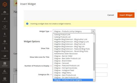 How To Use Insert Widgets In Magento 2 Olegnax
