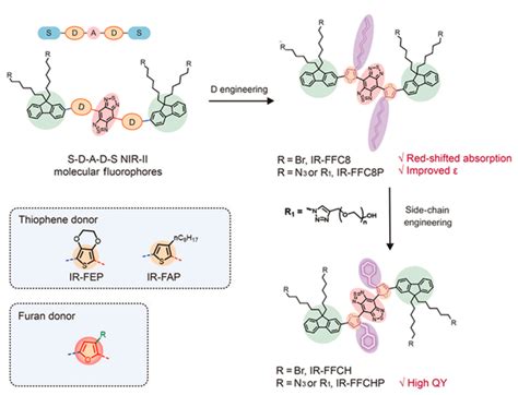 荧光探针 Nir Ii分子荧光团的呋喃供体有效增强生物成像性能 知乎