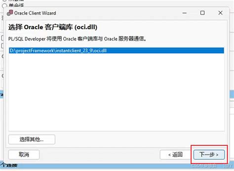 Windows 11 系统 Oracle Plsql 工具（plsql Developer 最新版本）完整安装与配置教程plsql安装教程