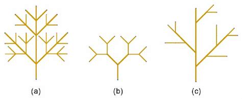Figure 1 From Extraction Of The 3 D Branching Structure Of Unfoliaged Deciduous Trees From Image