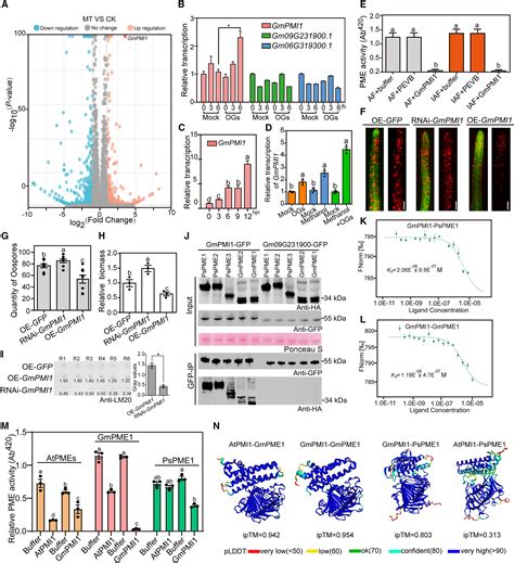 Alphafold Guided Redesign Of A Plant Pectin Methylesterase Inhibitor For Broad Spectrum Disease