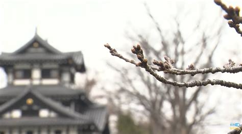 【画像】ことしの桜の開花予想 新潟は4月1日 平年より早い予想（3月13日現在） 23 ライブドアニュース