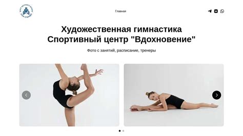 Художественная гимнастика