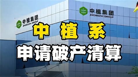 中植系申请破产清算，曾经第一大民营金融集团，轰然倒塌令人唏嘘 Youtube