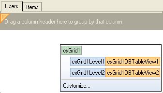 Working With Levels VCL DevExpress Documentation