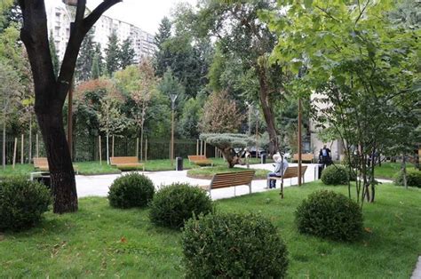 ბუკიას ბაღის რეაბილიტაცია დასრულდა კვირის პალიტრა