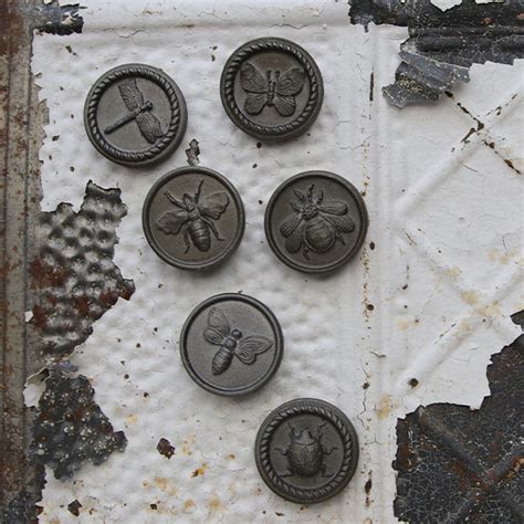 Round Bug Magnet Set Of 6 Decorative Magnets Decor Steals