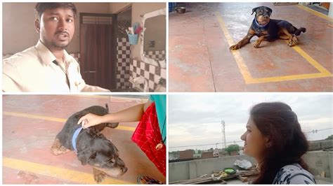 Roxy Ki Masti Ko Najar Lag Gai 😌 Youtube