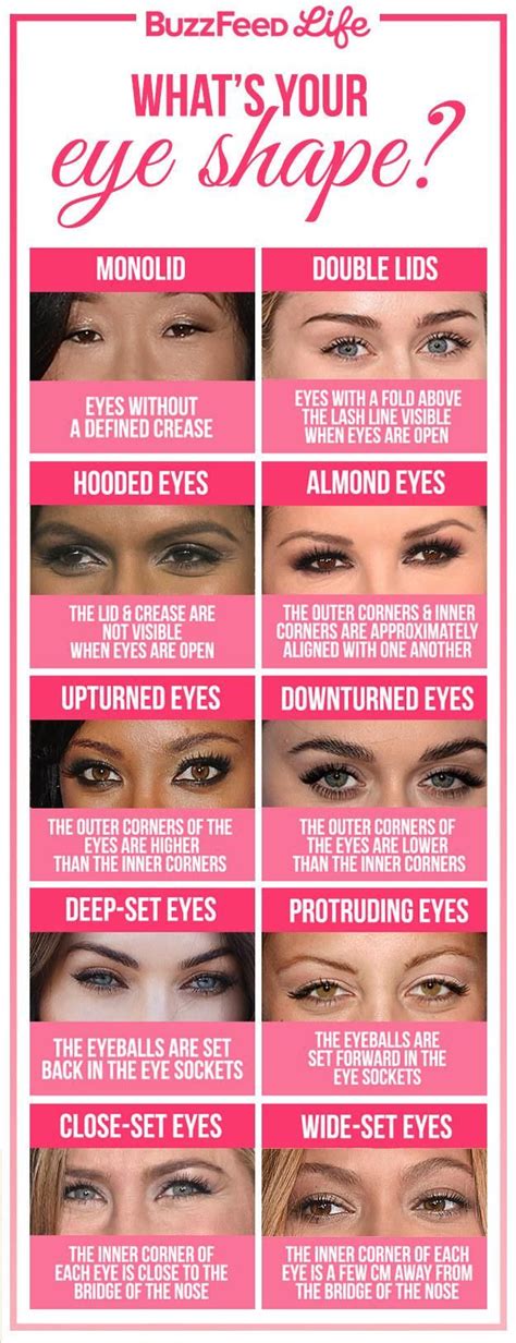 23 Eyeshadow Basics Everyone Should Know Eyeshadow Basics Eye Makeup