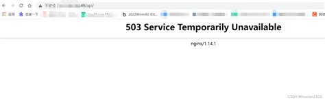 Nginx Csdn