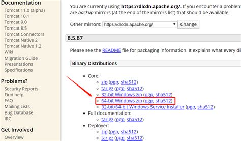 idea工具 Java语言 tomcat服务使用 十零 博客园