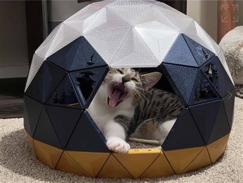 Geodesic Dome Cat House Pine Tree Cutouts Dprinting Dthursday