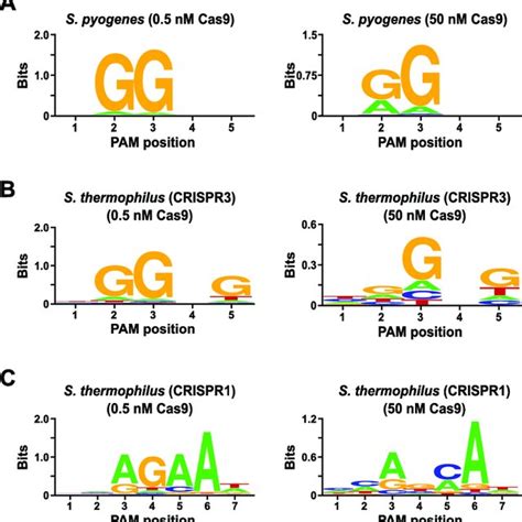 Schematic For Identification Of Pam Preferences By Cas9 Cleavage In