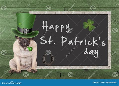 Собака щенка мопса с шляпой лепрекона для трубы дня ` S St Patrick