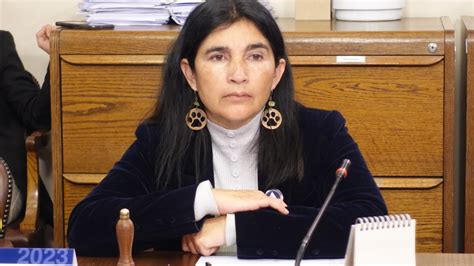 Diputada Ahumada Solicita Al Presidente Que Visite Antofagasta Para
