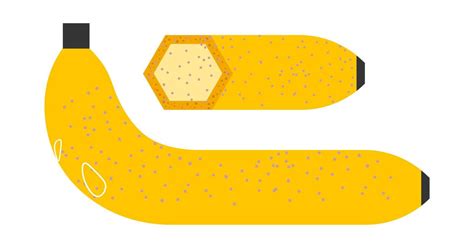 Tropical Fruit Banana Ripe Product Healthy Dieting 17739499 Vector Art