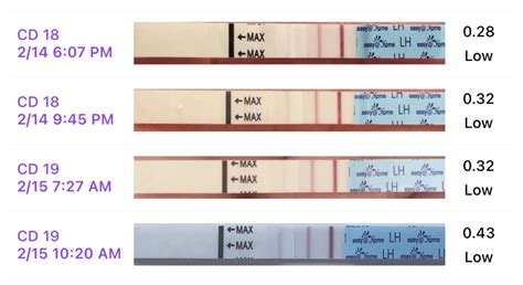 Ovulation BBT Chart Help Mumsnet