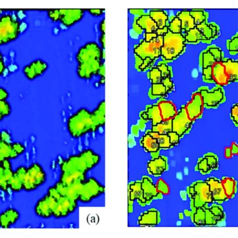 A Original Lidar Image Of A Sample Plot B Crown Segmentation By Download Scientific