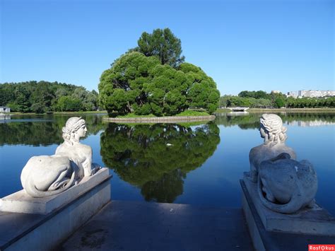 Фотолюбитель ⭐Наташа⭐ Город Фотосайт Расфокус ру