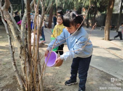 “相逢植树节，爱在春天里”安青网