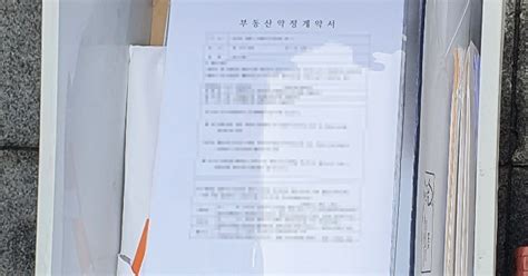 매매보다 비싼 전세 서민 울리는 전세사기 또 적발수백억 피해