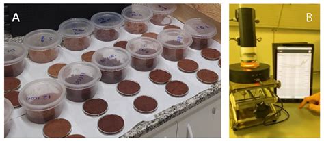 The Application Of Handheld Near Infrared Spectroscopy And Raman Spectroscopic Imaging For The