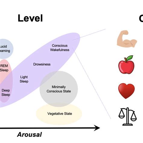 Intransitive Vs Transitive Consciousness Different States Of Download Scientific Diagram