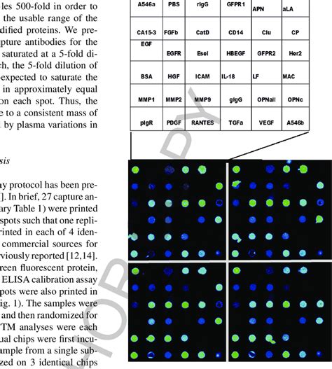 Image Of A Single Elisa Microarray Each Microarray Chip Contains 27