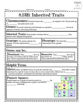 8 13B Inherited Traits 2024 TEKS ANSWER KEY INCLUDED By Sterling
