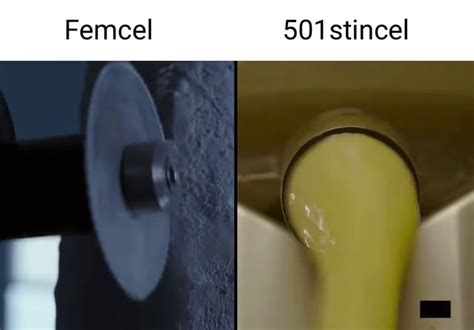 Femeel Stincel Ifunny