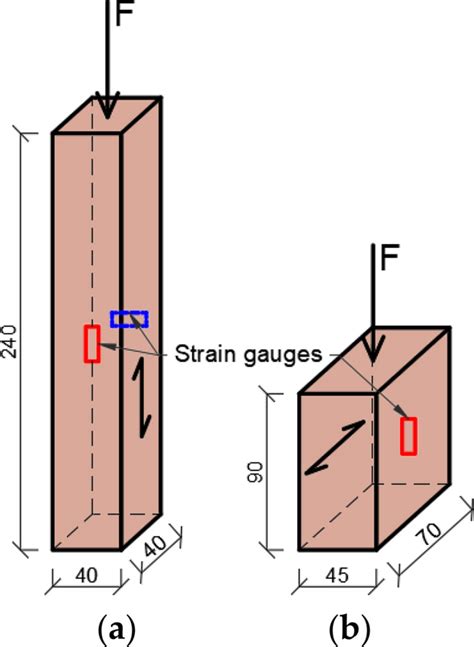 Experimental Setup Of The Compression Test A Parallel To Grain B Download Scientific