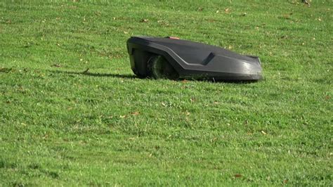 The Lawn Robot Mows The Green Lawn A Robotic Lawn Mower Mows The Grass