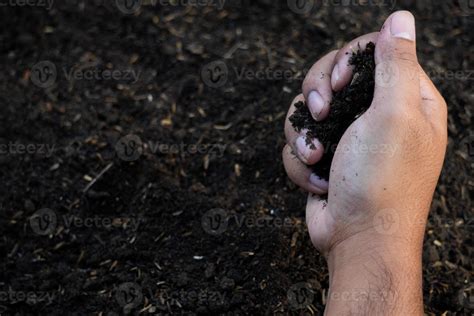 Hands Hold The Soil With Plant Seeds Nature Photos For The Environment And Farmers