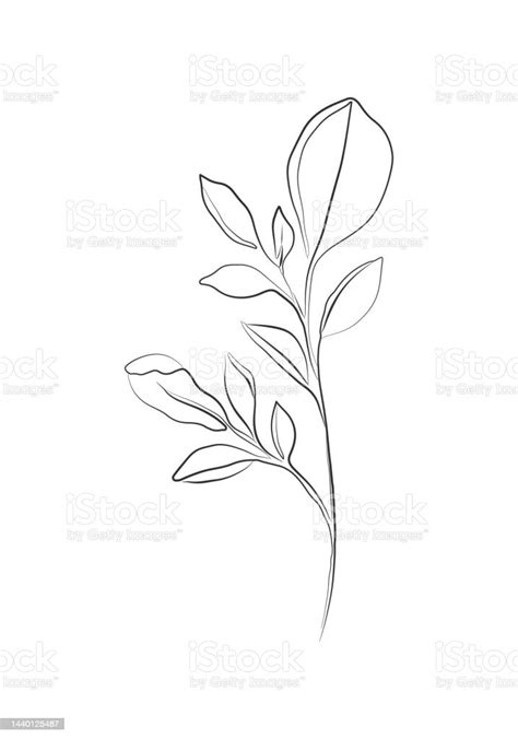 Cabang Dengan Gambar Seni Garis Daun Tanaman Sketsa Hitam Tunggal