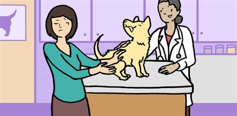 Why Dogs Fart And How To Stop The Really Smelly Ones