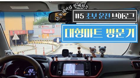 초보운전 브이로그 5 더뉴레이20대 첫차대형마트에서 장보기경차전용 주차구역 너무 좋다 YouTube