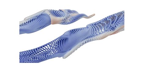 Github Dw Carlsonpvpython Filters Personal Python Scripts For Paraview 510