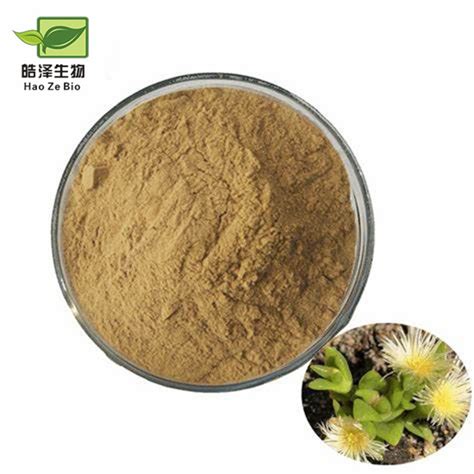 High Quality Kanna Extract Powder Alkaloids 20 China Kanna Extract