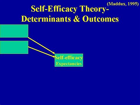 Chapter 12 Selfefficacy Triadic Relationship Individual Environment