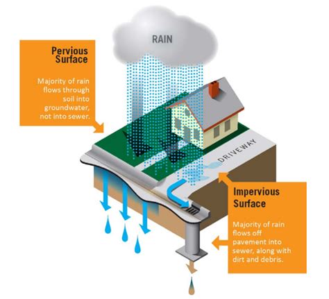 Debris From Impervious Surfaces