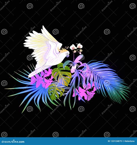 A Composition Of Tropical Plants Palm Leaves Stock Illustration