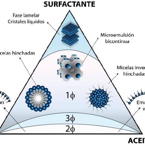 Pdf Macromoléculas En Sistemas De Microemulsión Macromolecules In Microemulsion Systems
