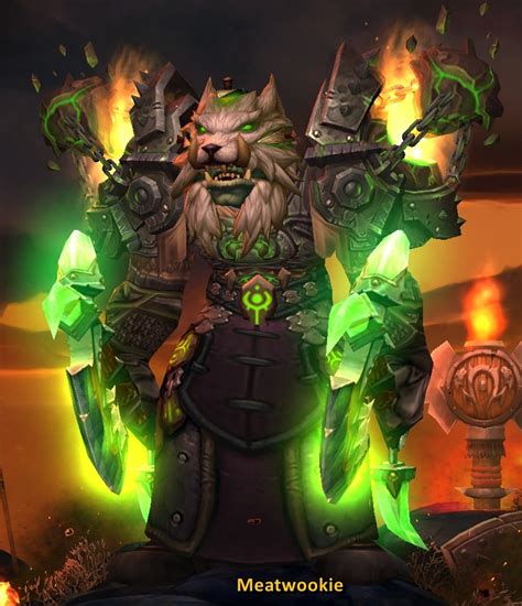 Coolest Shaman Transmog Gear