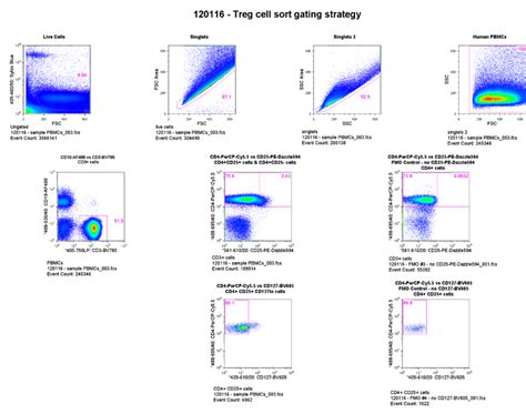 Process Overview Of Cell Sorting For T Cell Proliferation Assays Using