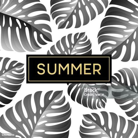 열대 몬스 테라 잎 디자인식 텍스트 카드 벡터 일러스트레이션 0명에 대한 스톡 벡터 아트 및 기타 이미지 0명 관목 꽃무늬 Istock