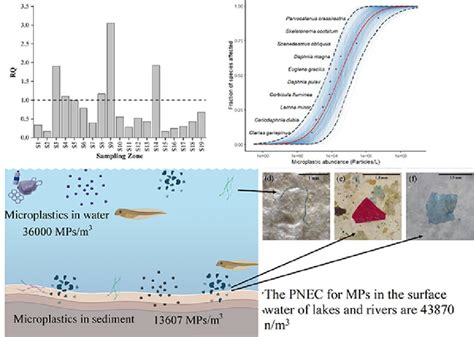 Microplastics Threaten Ecosystems Of Dhaka Rivers Dr Shafi Mohammad