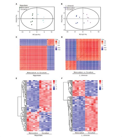 Dynamic Metabolome Of Rice And L Chinensis In The Reciprocal Download Scientific Diagram
